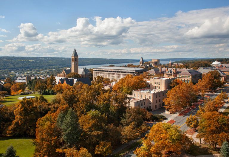 Cornell Discovery Team | Contact us | Giving to Cornell | Cornell ...