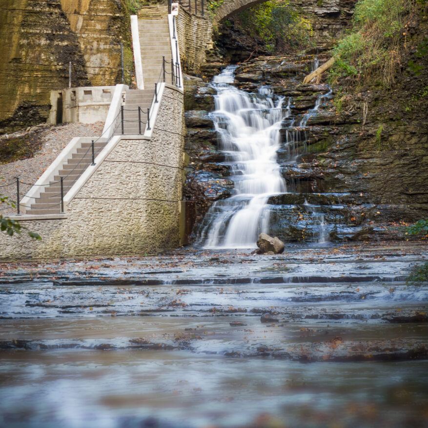 Digital swag | 1865 Society | Giving to Cornell | Cornell University