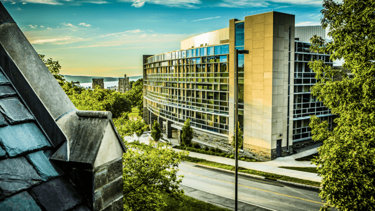 Ceriale family foundation $20M gift will support student mental health ... Ceriale family foundation $20M gift will support student mental health ...
